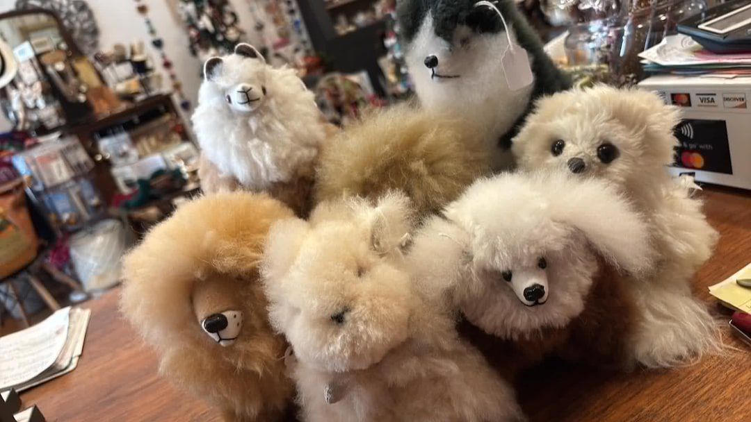 Alpaca Wool Stuffed Animals Plush Toys Plushies Decor, Llamas Bear ...