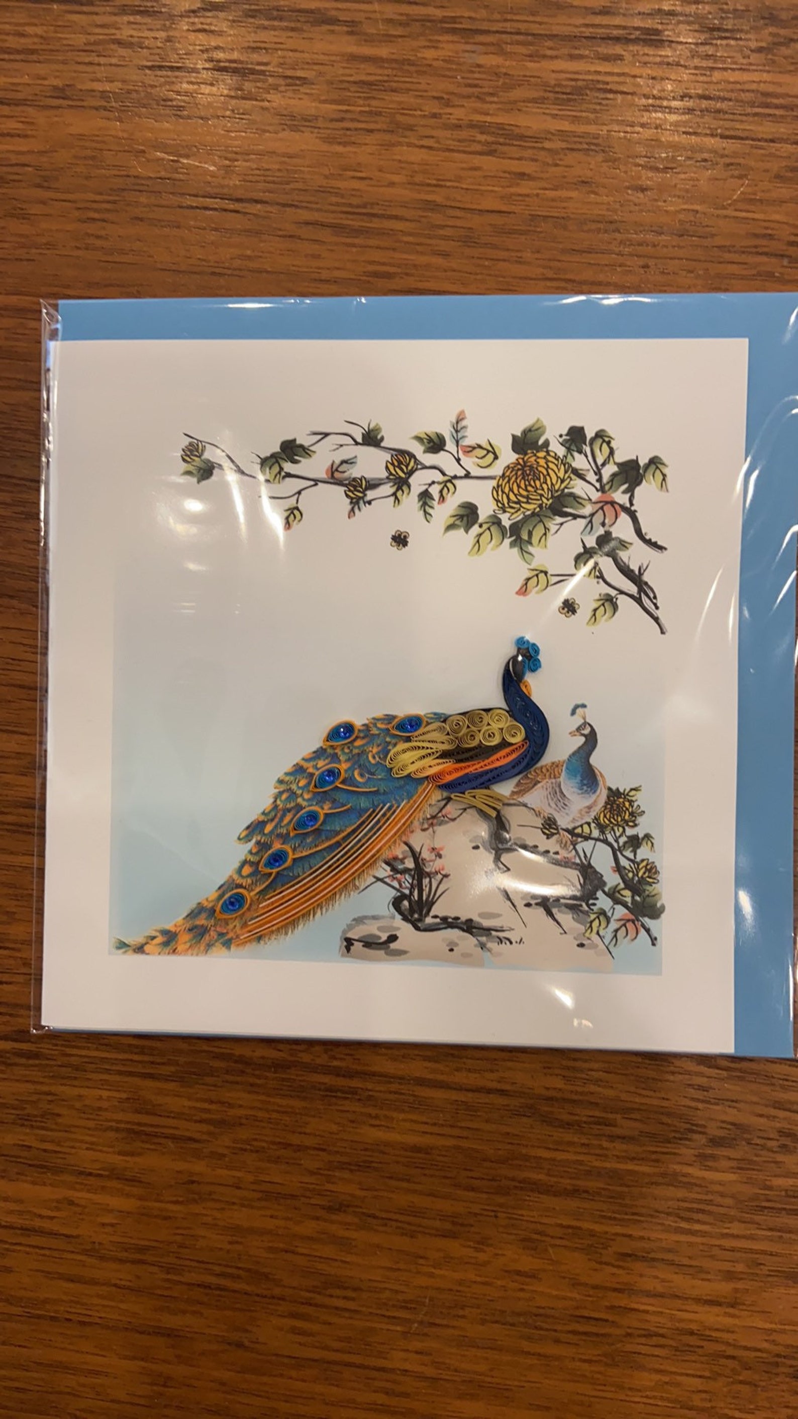 Handmade Paper Quilling Bird Greeting Cards 6.25x6 Fair Trade | Etsy