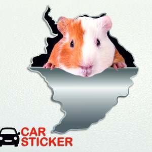Hamsters Bumper Art Hamster Stickers Wanderlust Sticker Stickers ...