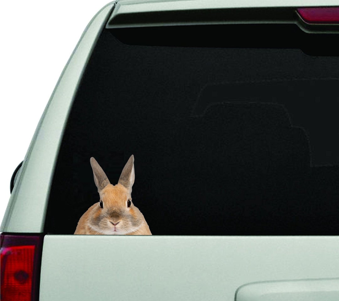 Rabbit Car Sticker Bumper Sticker Rabbit Sticker Rabbit Car Animal ...