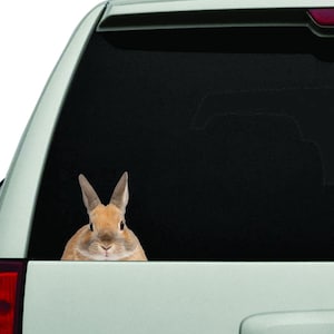Rabbit Car Sticker Bumper Sticker Rabbit Sticker Rabbit Car Animal ...