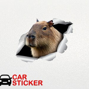Capybara Sticker Capybara Car Sticker Capybara Sticker Car Decorations ...