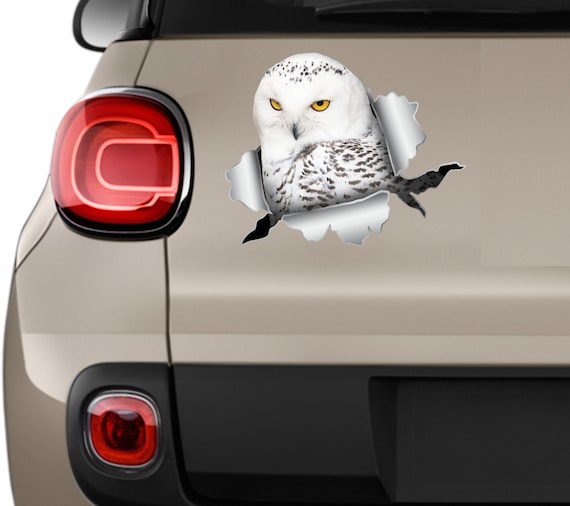 White Owl Decal Owl Car Sticker Owl Car White Owl Sticker - Etsy
