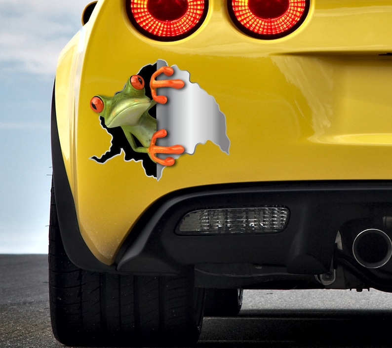 Car Sticker Color Frog Decal Color Frog Sticker Color Frog Gift Green ...