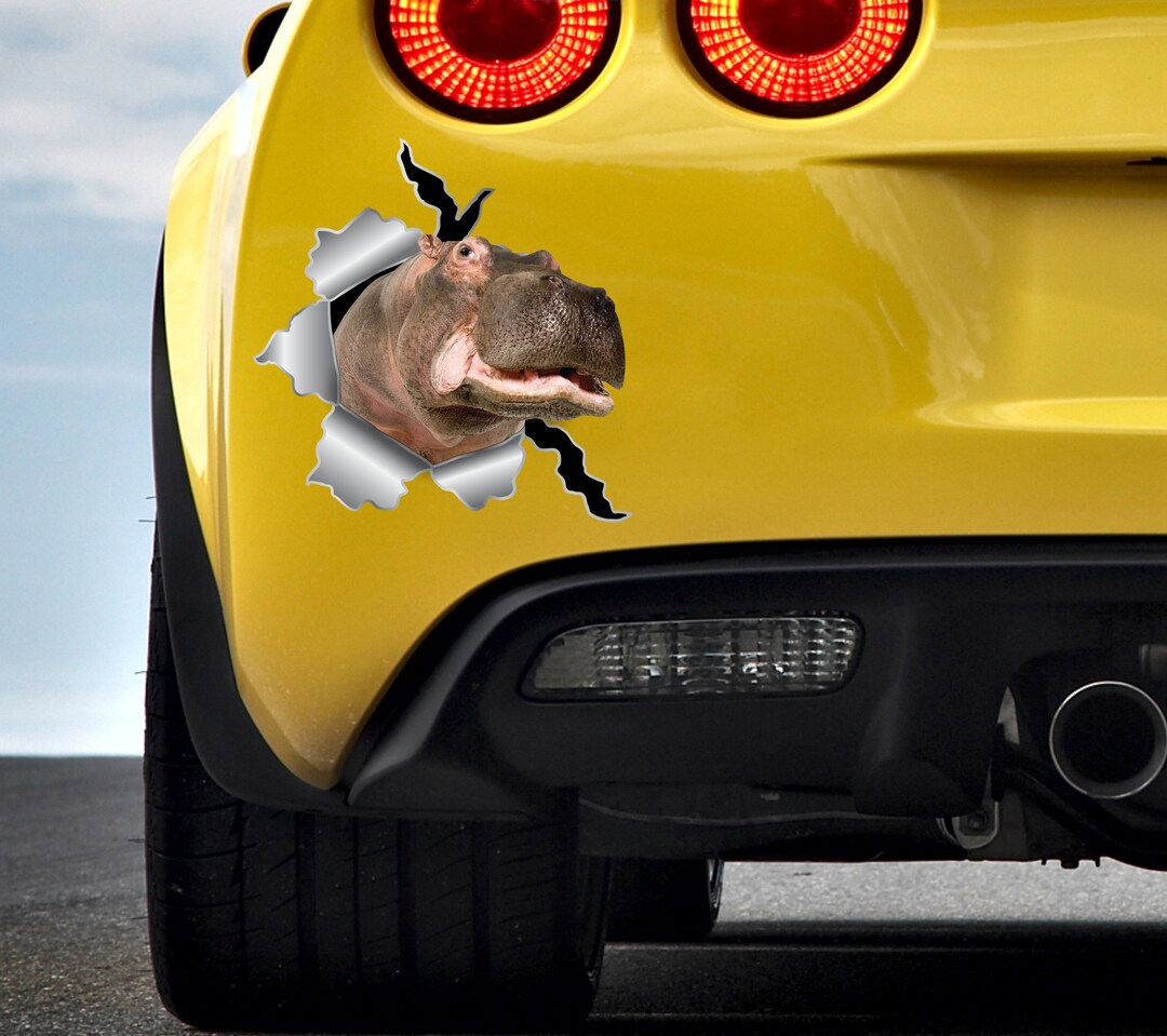 Hippo Sticker Sticker Car Bumper Decal Hippopotamus Decal Hippo Decal ...