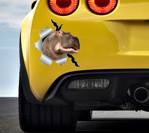 Hippo Sticker Sticker Car Bumper Decal Hippopotamus Decal | Etsy