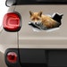 Fox Sticker Fox Car Sticker Foxy Sticker Fox Decal Cute - Etsy