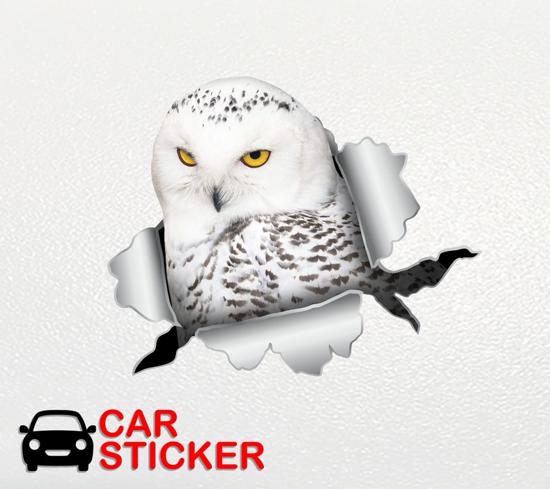 White Owl Decal Owl Car Sticker Owl Car White Owl Sticker - Etsy