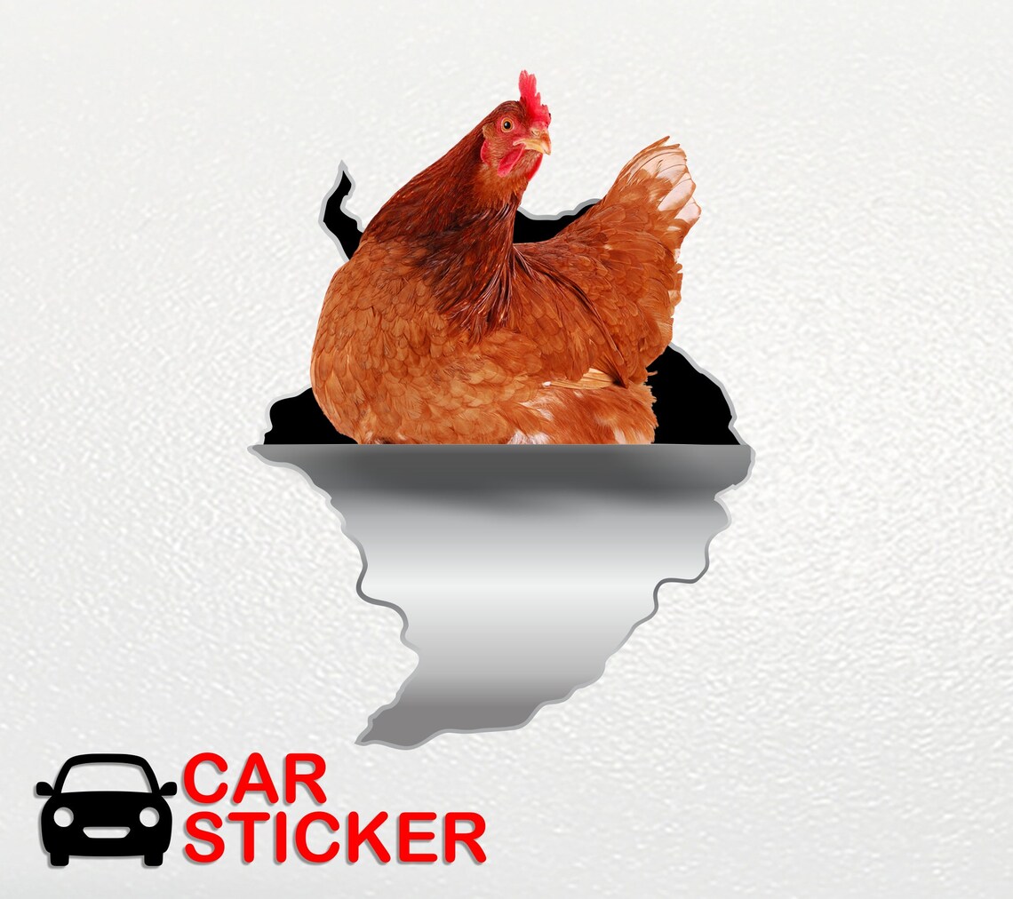 Hen Stickers Chicken Sticker Сock Sticker Rooster Sticker Car - Etsy