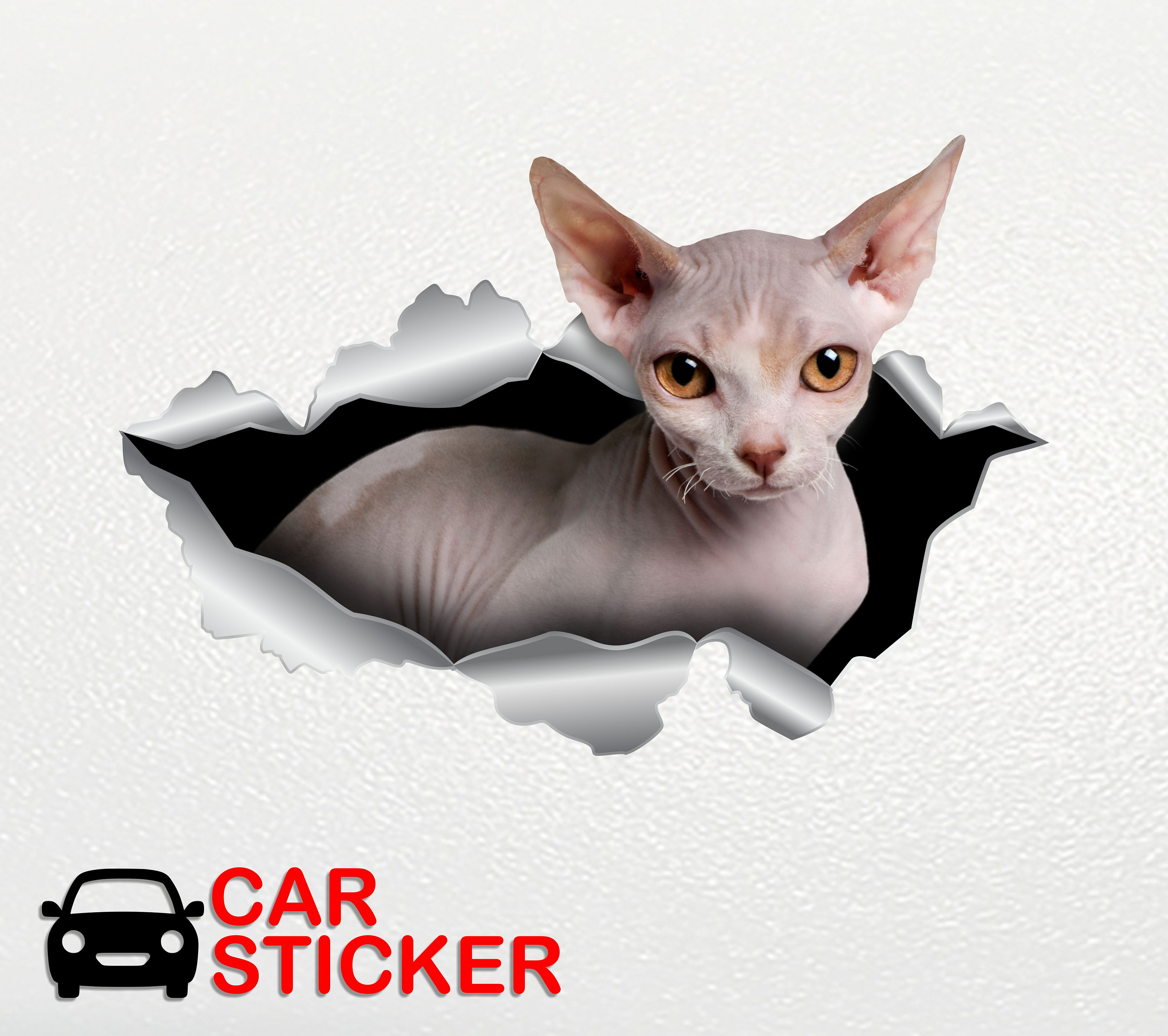 Car Sticker Sphynx Cat Sticker Sphynx Decal Sphynx Kitten | Etsy