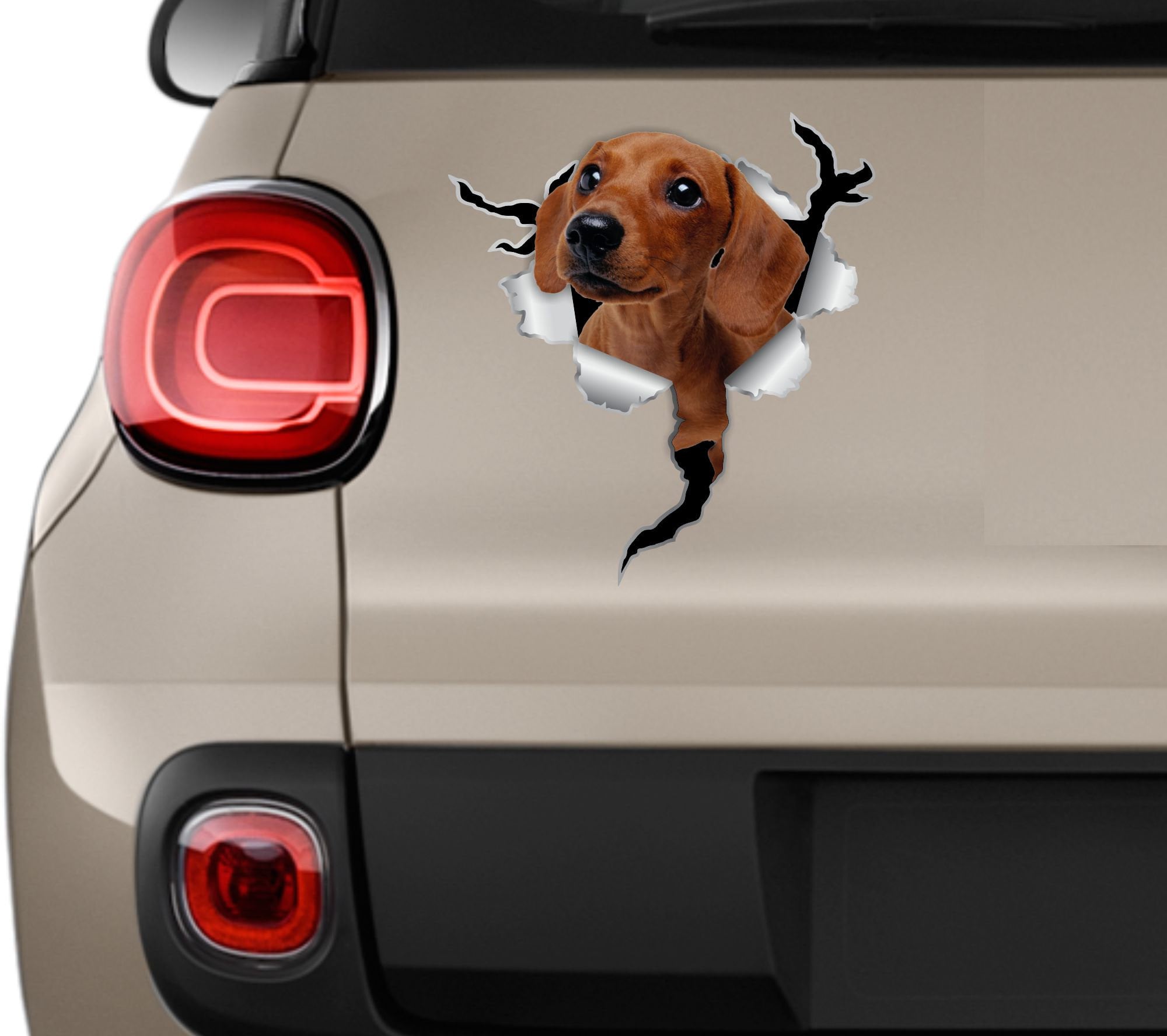 Bumper sticker Dog Dachshund Car stickers Dachshund Dachshund | Etsy