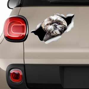 Car Sticker Shih Tzu Sticker Shih Tzu Car Decal Dog Shih Tzu Shih Tzu ...