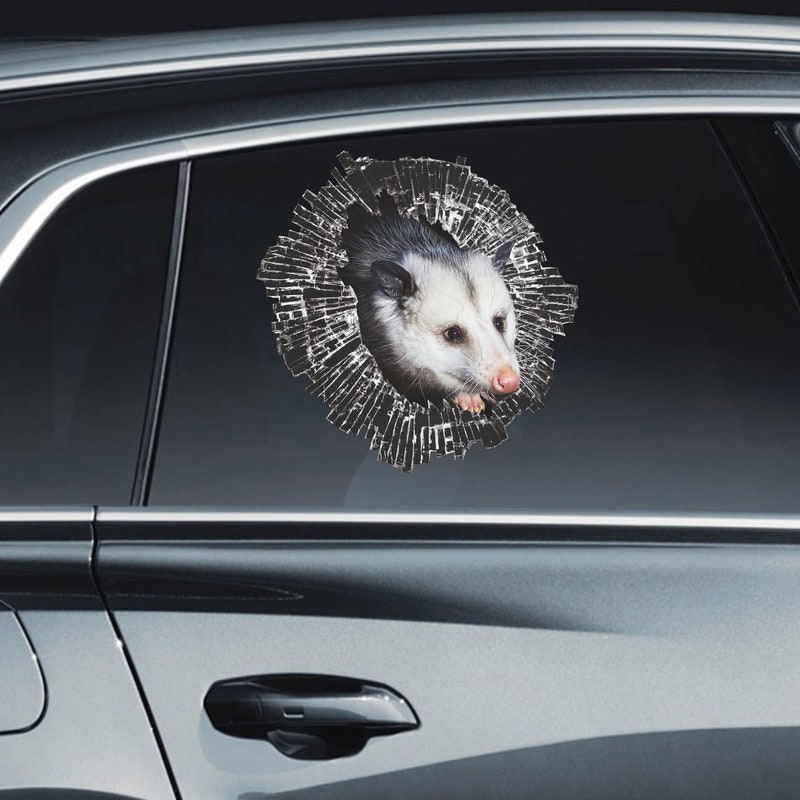 Opossum Stickers - Etsy