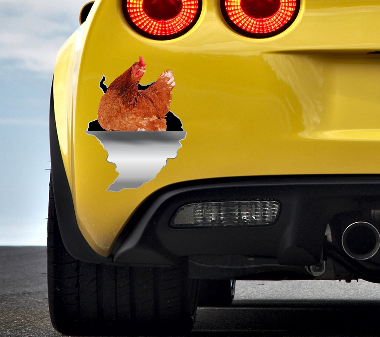 Hen Stickers Chicken Sticker Сock Sticker Rooster Sticker Car - Etsy