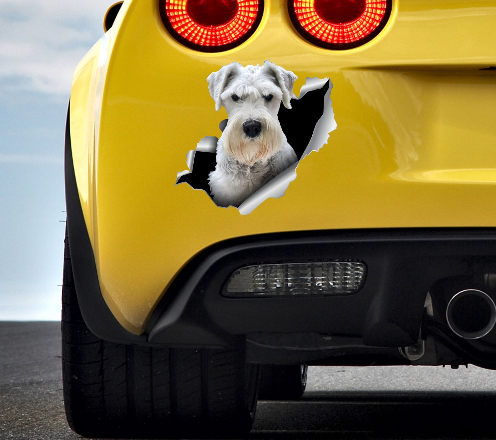 Schnauzer Car Sticker Dog Car Decal Schnauzer Decal Car - Etsy