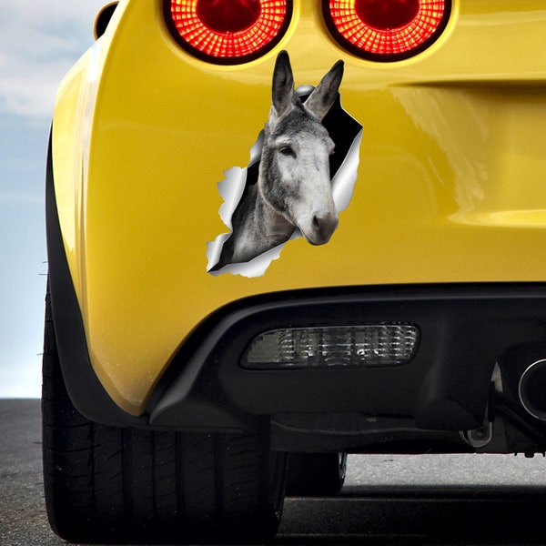 Donkey Car Stickers - Etsy