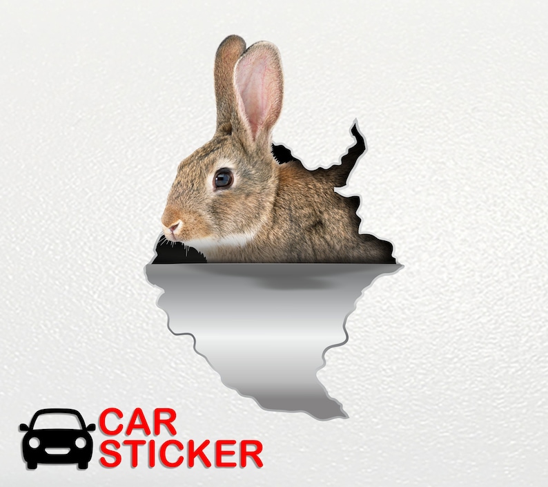 Rabbit Car Decal Hare Sticker Rabbit Stickers Car Sticker Car - Etsy