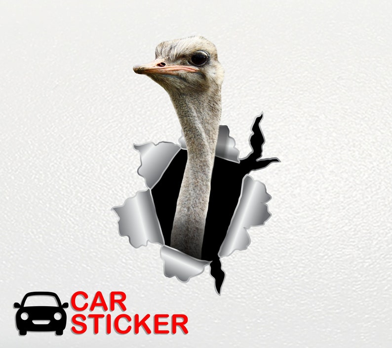 Ostrich Sticker Ostrich Decal Funny Ostrich Car Decal Bumper | Etsy