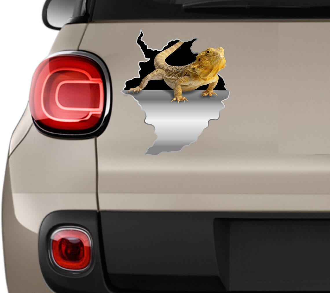 Lizard Car Decor Car Sticker Lizard Sticker Lizard Deco - Etsy