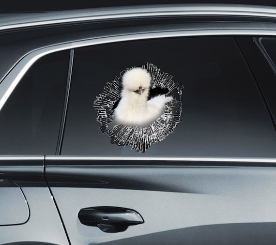 Silkie Chicken Car Sticker White Chicken Glass Chicken Sticker - Etsy