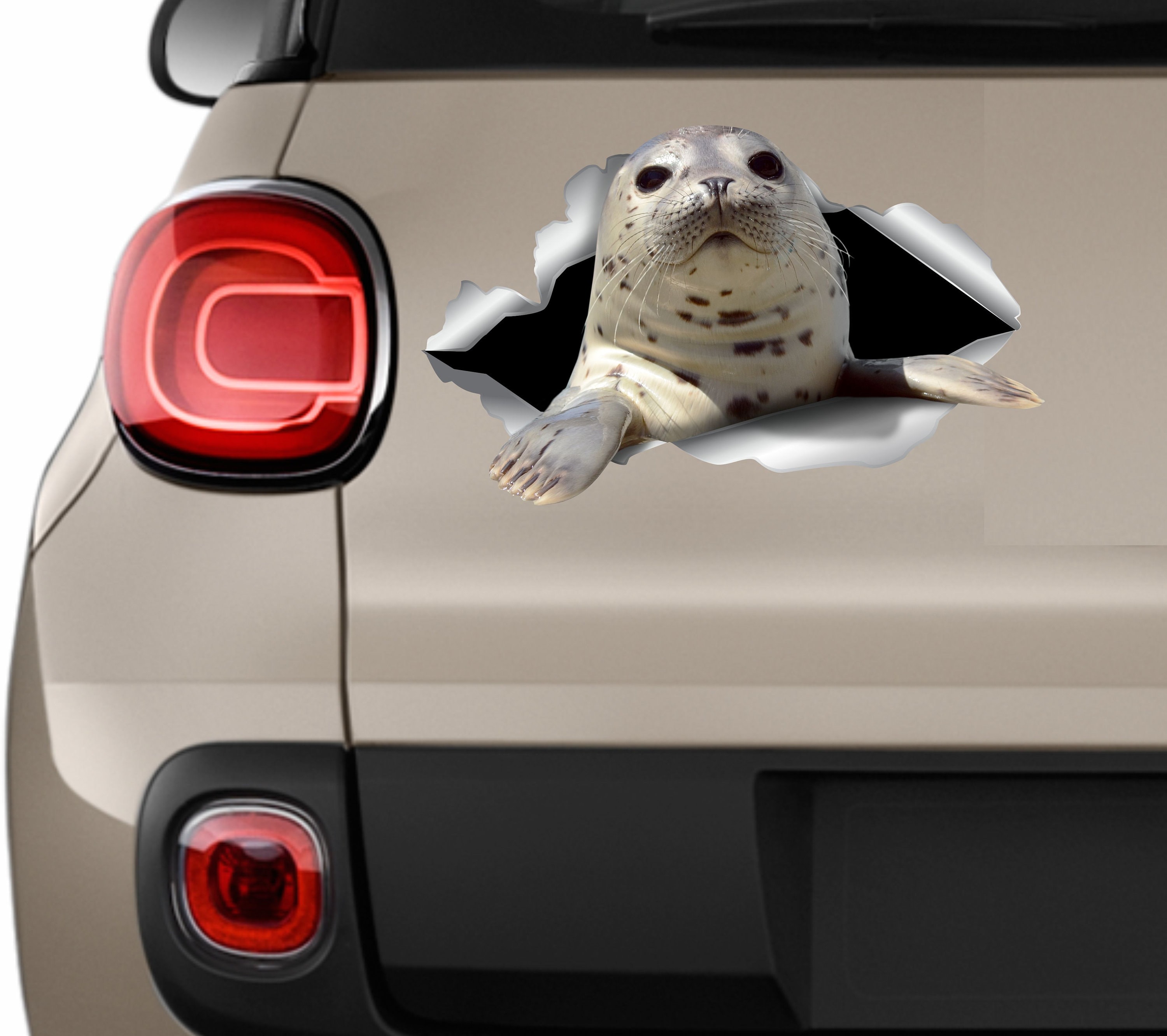 Harbor Seal Harbor Sticker Car Sticker Harbor Decal Car - Etsy