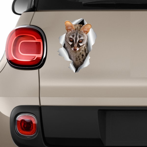 Wild Cat Sticker - Etsy
