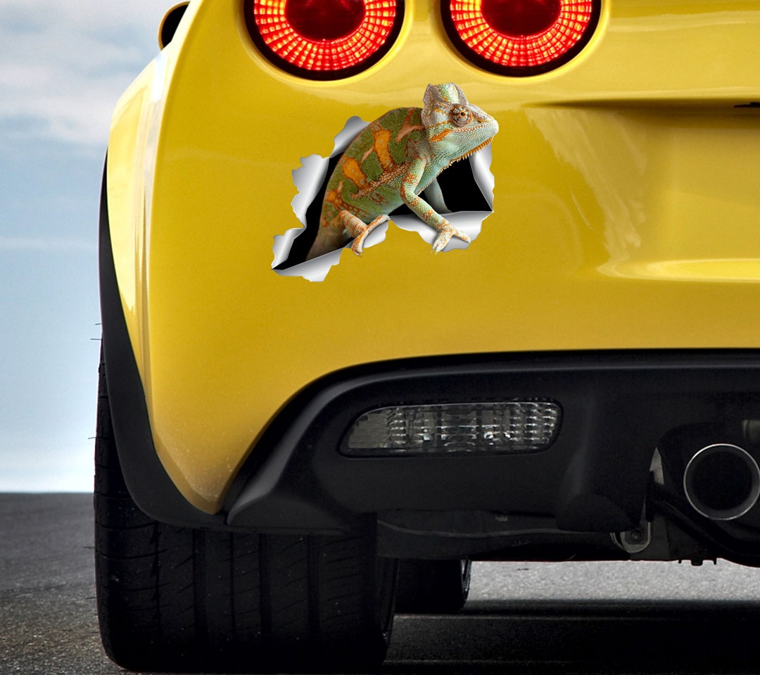 Chameleon Stickers Funny Sticker Chameleon Car Decal Reptile Decal ...