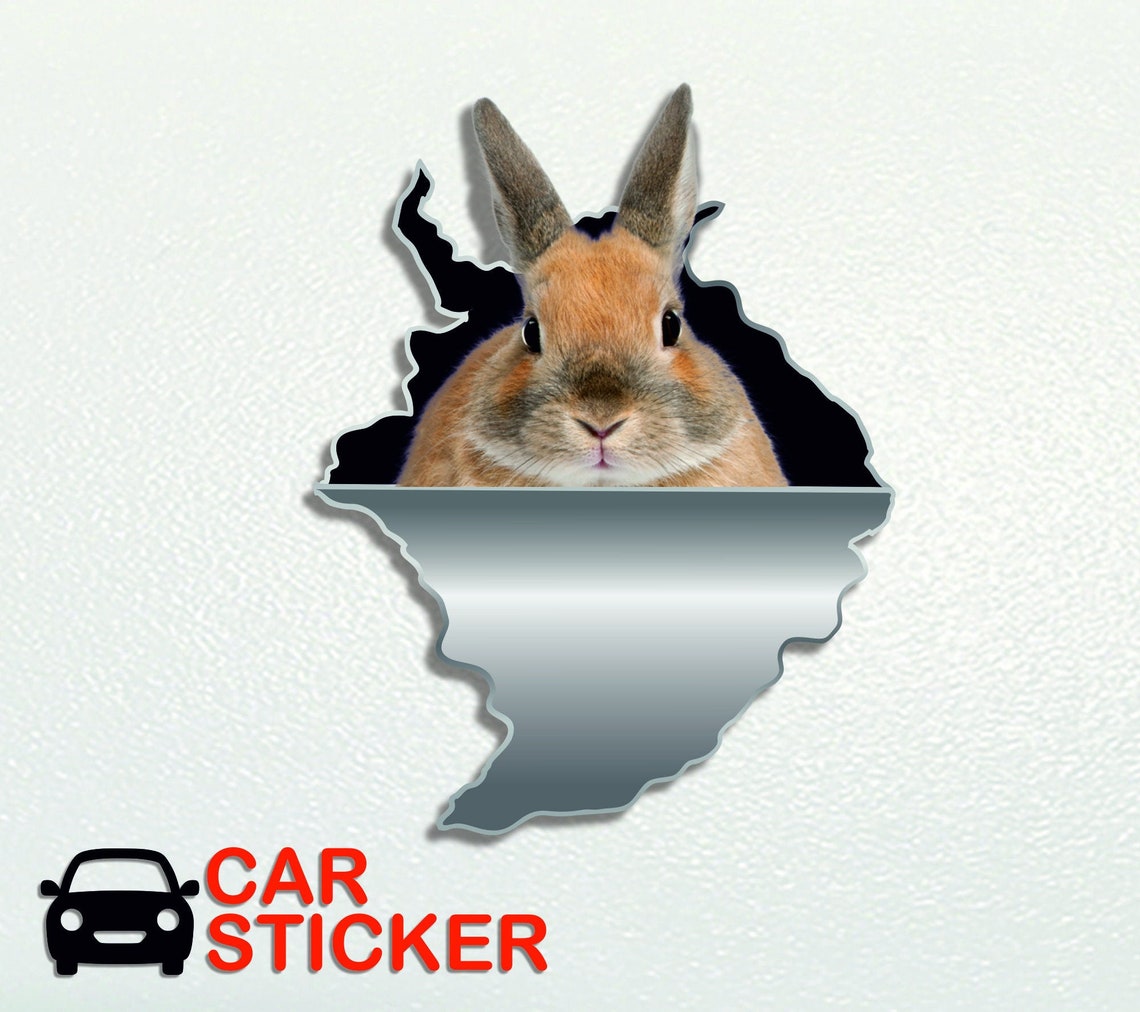 Rabbit 3d Sticker Decal Sticker Cute Sticker Animals Sticker - Etsy