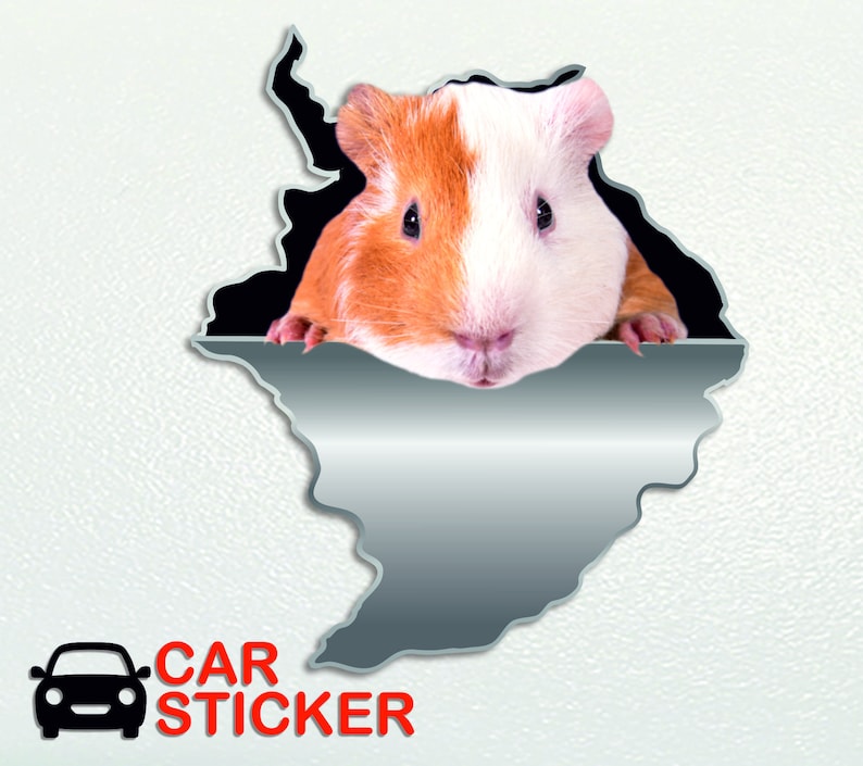 Hamsters Bumper Art Hamster Stickers Wanderlust Sticker - Etsy