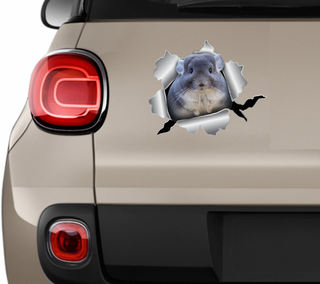 Chinchilla Sticker Car Sticker Chinchilla Auto Sticker Chinchilla Car ...