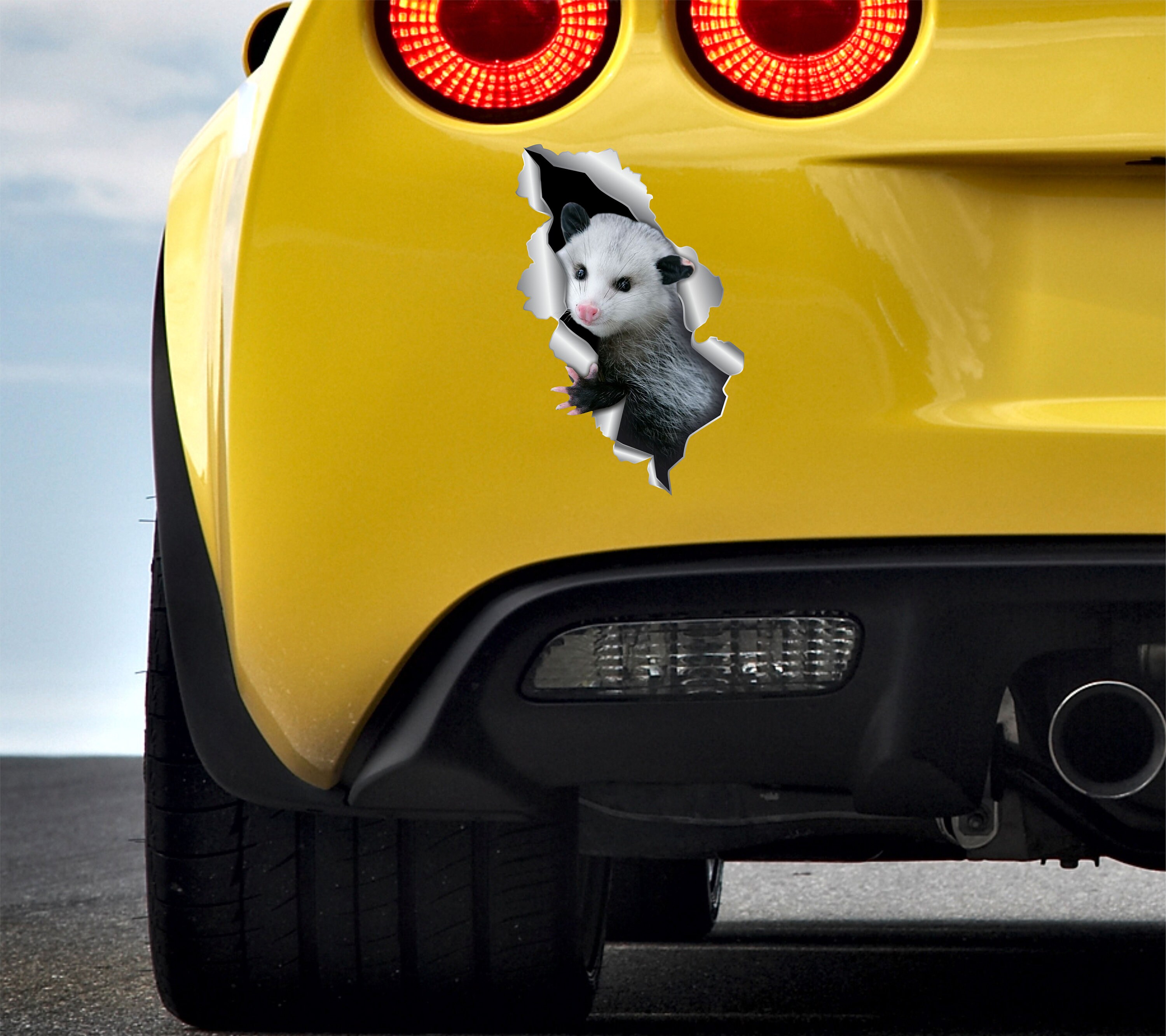 Opossum Decal Car Stickers Opossum Car Sticker Opossum Art Pet Decal ...