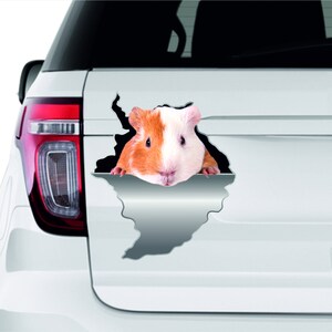 Hamsters Bumper Art Hamster Stickers Wanderlust Sticker Stickers ...