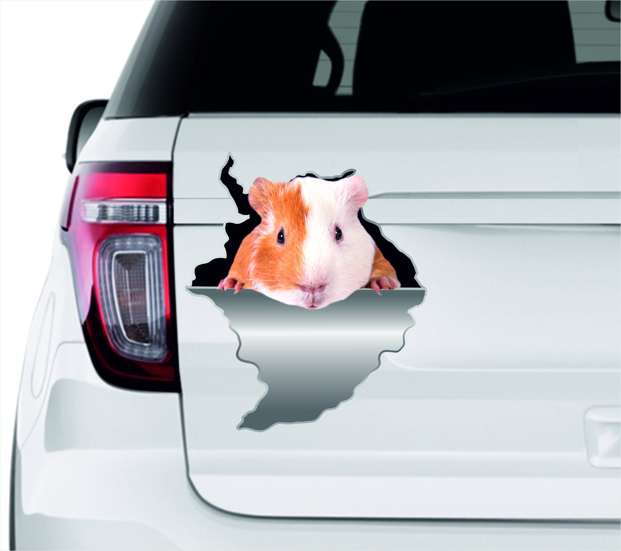 Hamsters Bumper art Hamster stickers Wanderlust sticker - Etsy Nederland