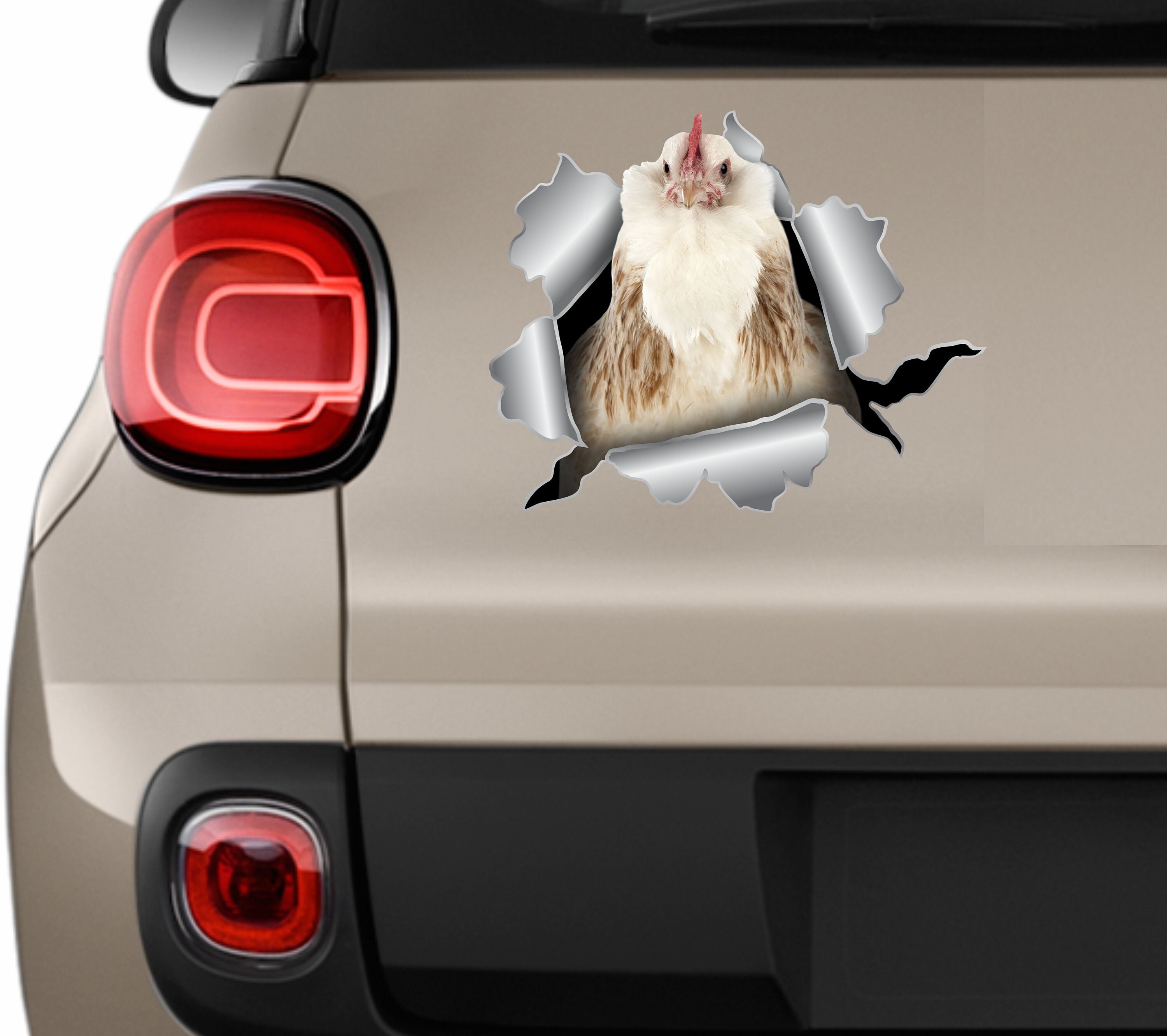 Chicken Decal Faverolles Chicken Sticker Cute Funky Chicken - Etsy