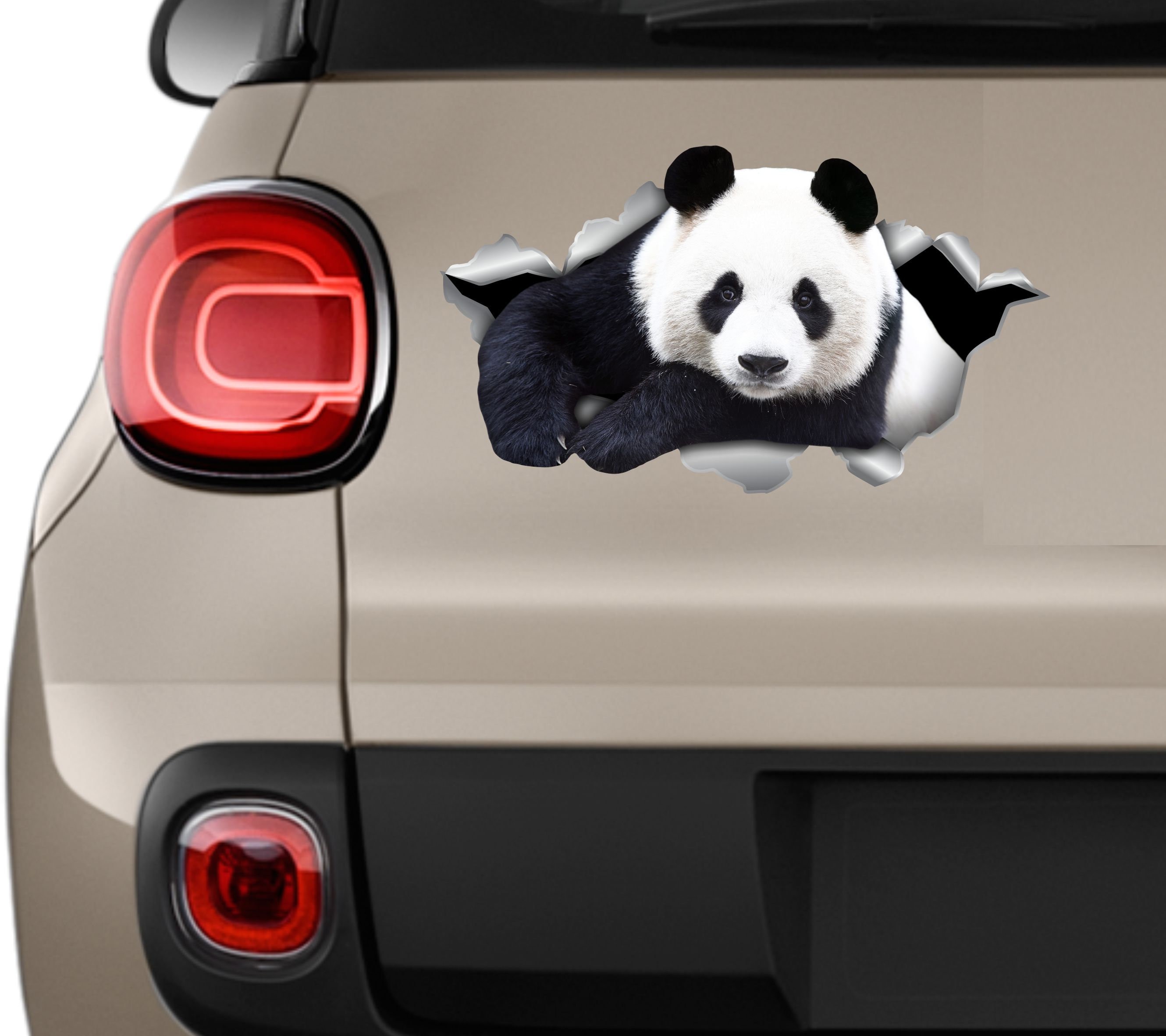 Panda sticker Panda decal Panda bumper sticker Cute panda | Etsy