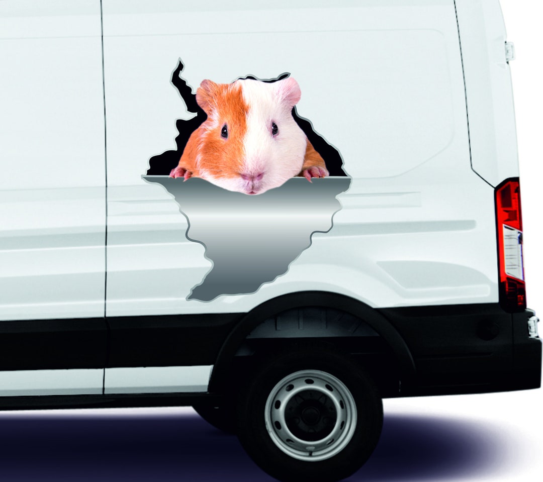 Hamsters Bumper Art Hamster Stickers Wanderlust Sticker Stickers ...