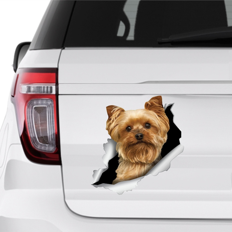 Yorkie Decal for Car - Etsy