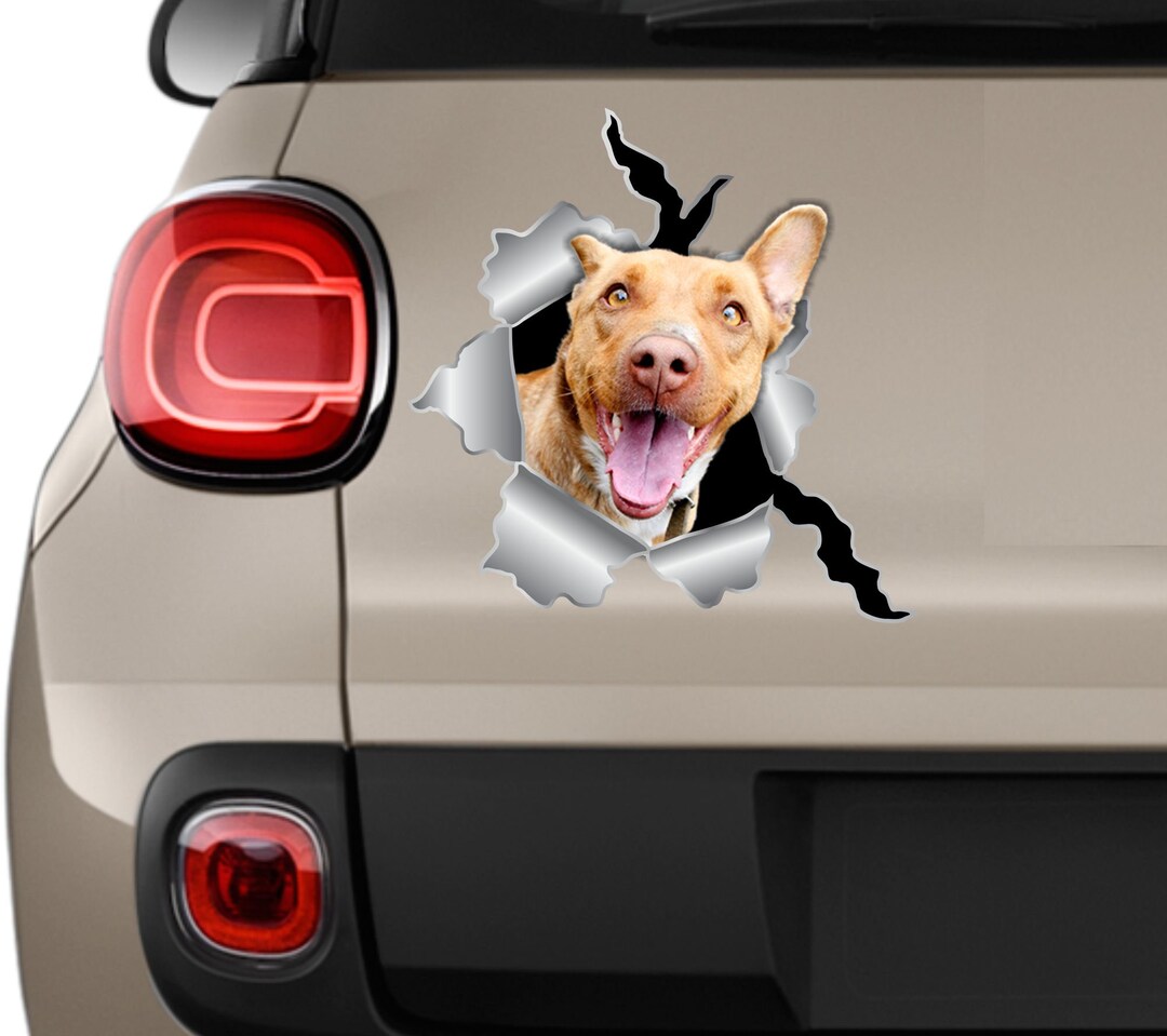 Dog Bumper Sticker Pitbull Sticker Pit Bull Terrier Stickers Car ...
