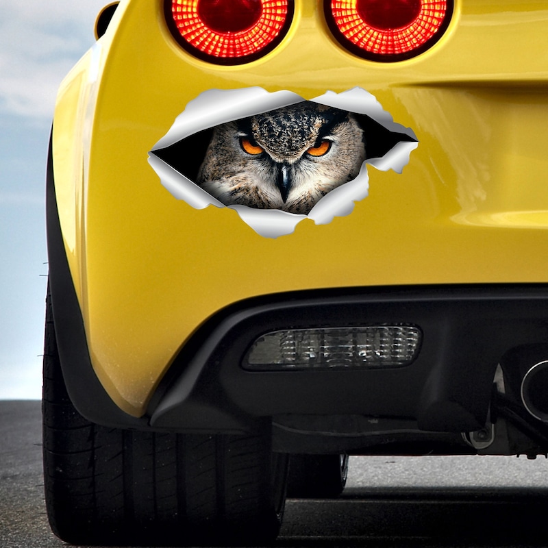 Owl Car Decal - Etsy