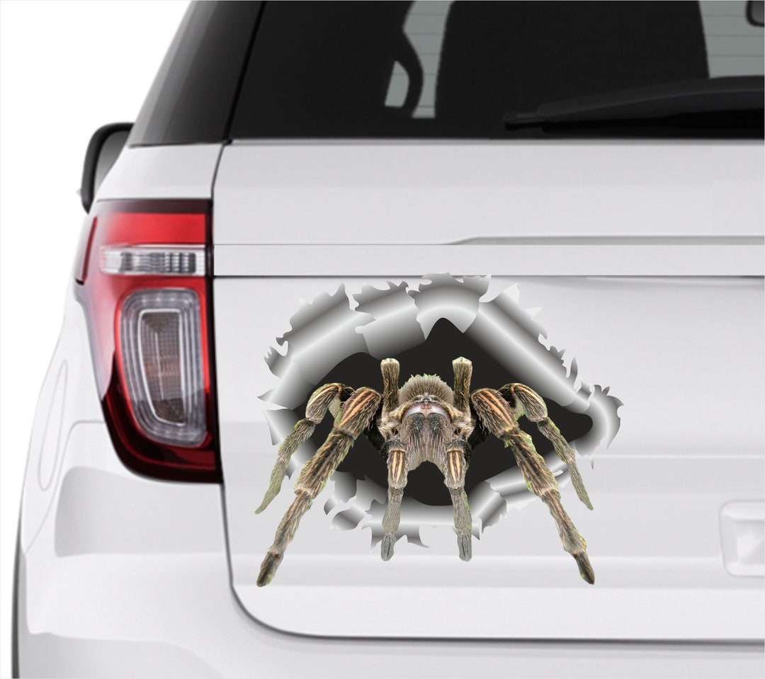 Sticker Spider Stickers Car Sticker Window Sticker Car Sticker Spider ...