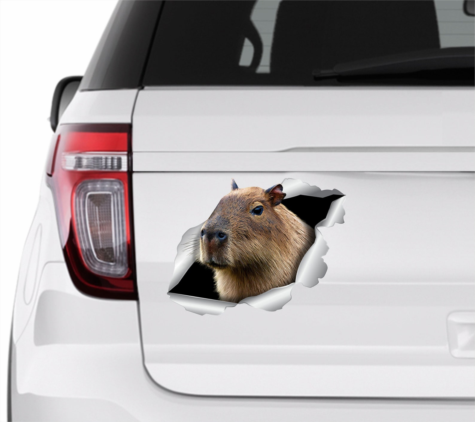 Capybara Sticker Capybara Car Sticker Capybara Sticker Car Decorations ...