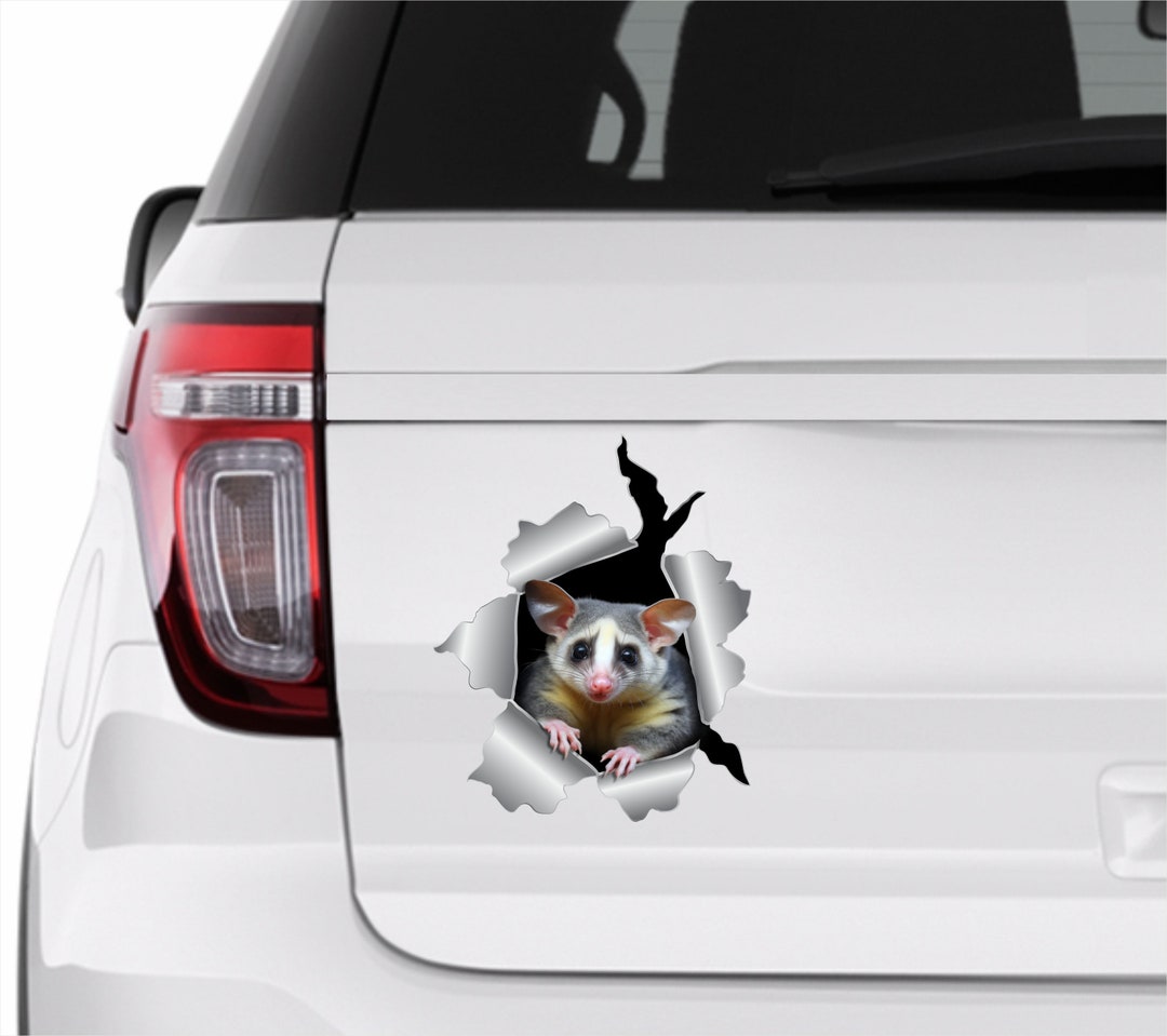 Opossum Car Sticker Opossum Decal Car Stickers Opossum Art Pet Decal ...