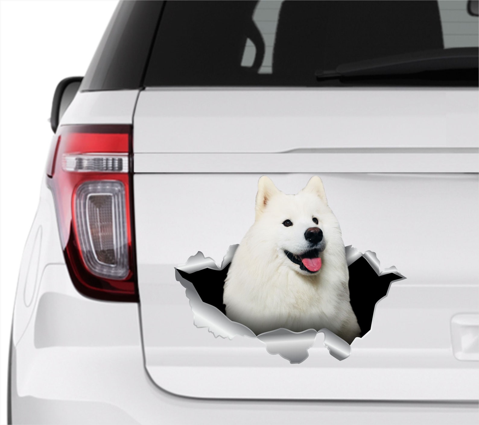 White Samoyed Car Sticker Samoyed Sticker Samoyed Dog Auto - Etsy