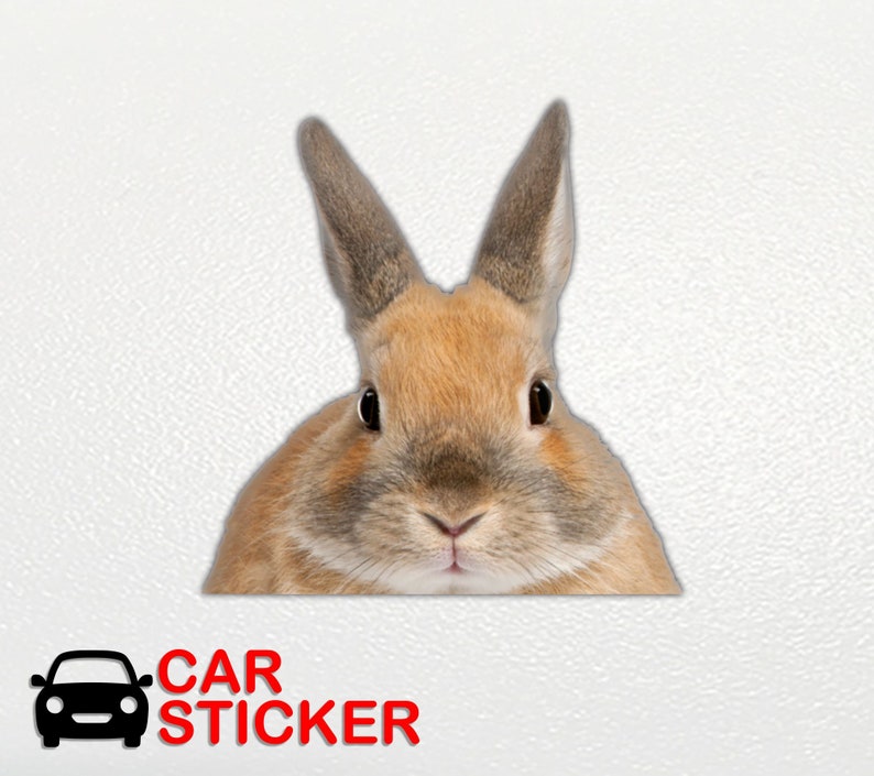 Rabbit Car Sticker Bumper Sticker Rabbit Sticker Rabbit Car - Etsy