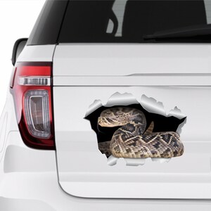 Rattlesnake Sticker 3D Stickers Snake Sticker Car Sticker Python ...