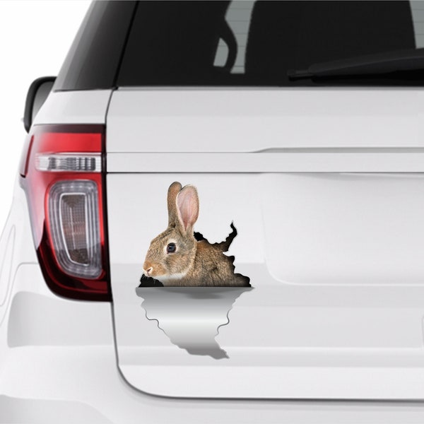 Rabbit Car Decal - Etsy