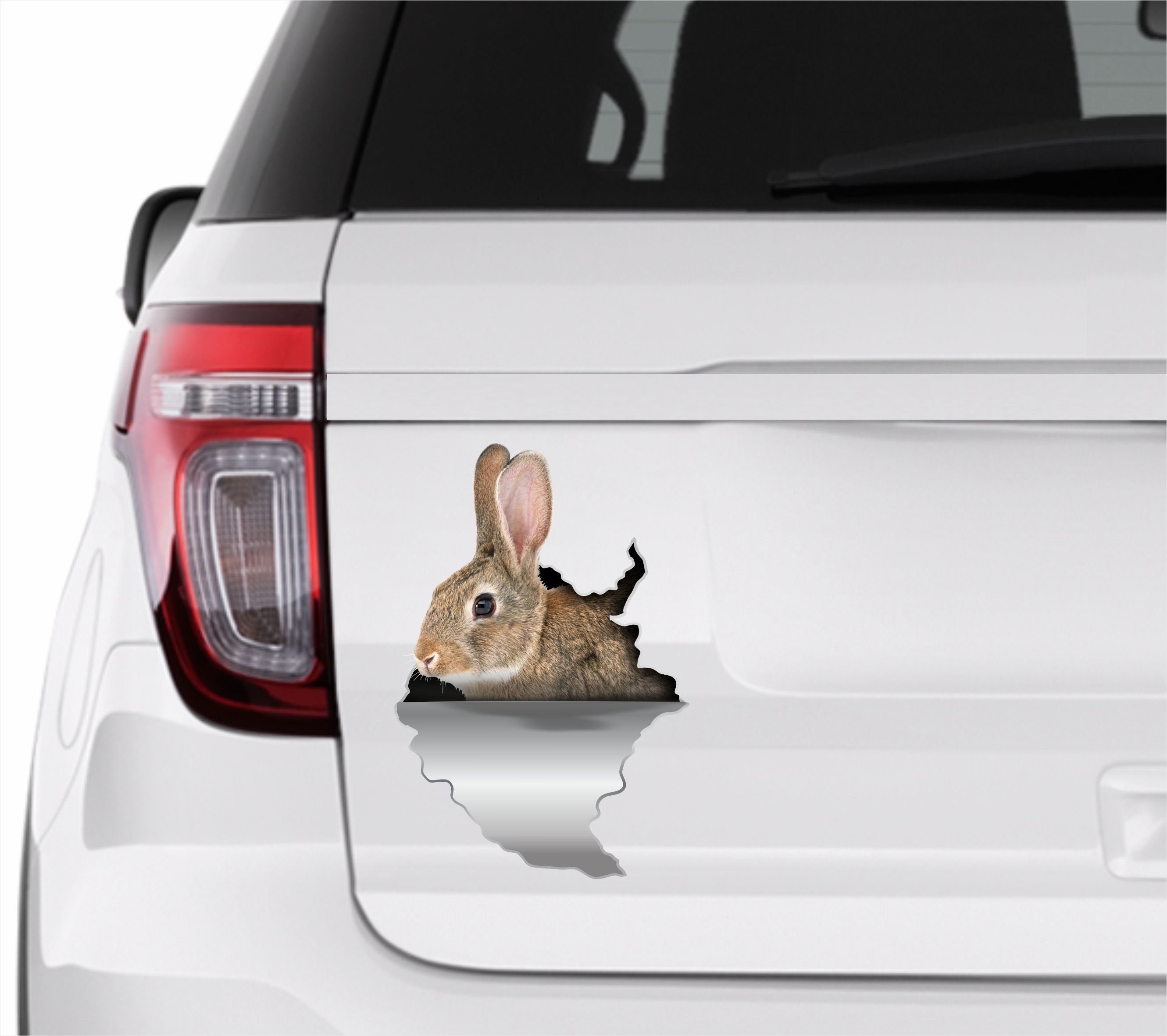 Rabbit car decal Hare sticker Rabbit stickers Car sticker Car | Etsy