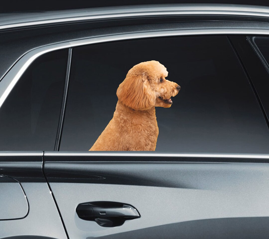 Toy Poodle Sticker Right Left Side Poodle Sticker Left Side Car Sticker ...