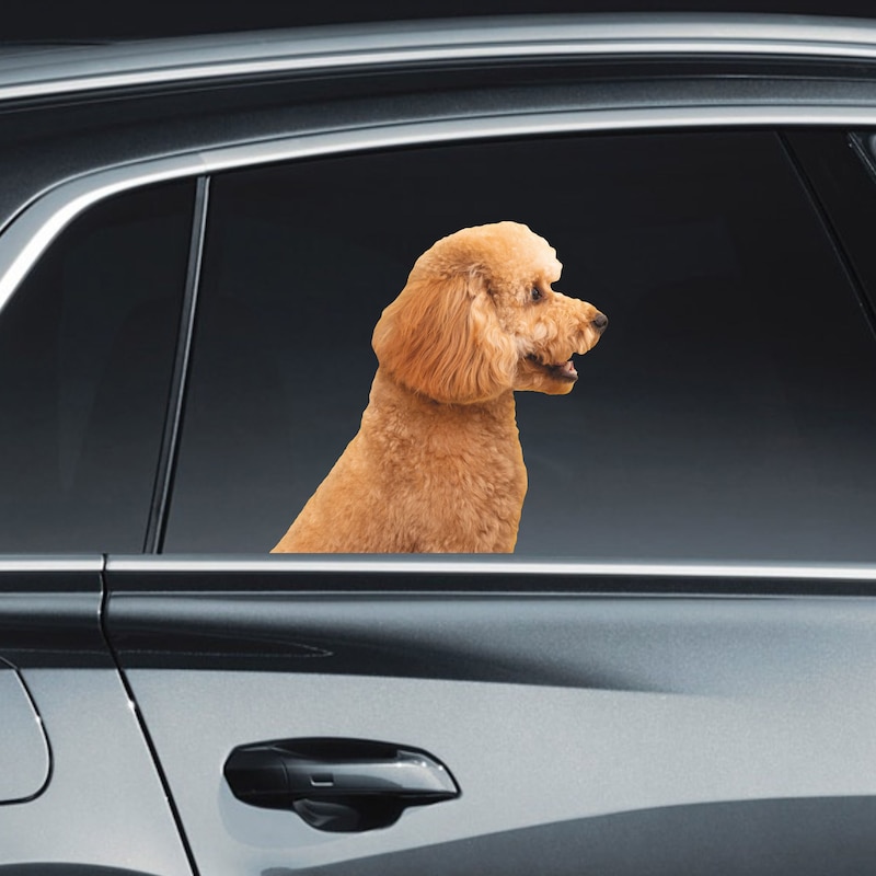 Poodle Sticker - Etsy