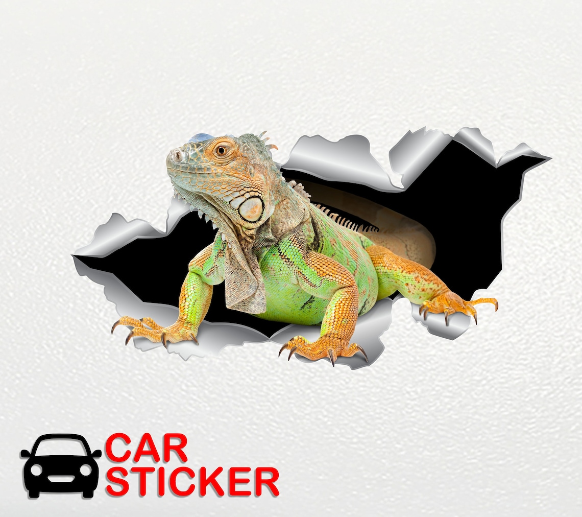 Iguana Sticker Car Sticker Lizard Sticker Auto Decal Iguana - Etsy New ...